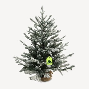 Smrk Zasněžený 70 LED 90 cm