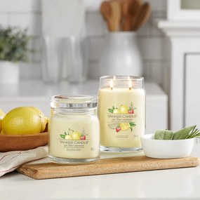 Yankee Candle vonná svíčka Signature ve skle střední Iced Berry Lemonade 368g