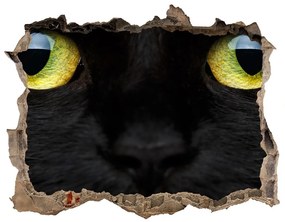 Wallmuralia Nálepka 3D díra na zeď Kočičí oči 95x64 cm