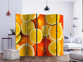 Pokojová zástěna Citrusové plody II (5dílný) - vzor z pomerančového tropického ovoce