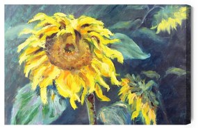 Obraz Květiny Slunečnice Jako Malované Nedostatek Nedostatek Přírodní plátno 100x70