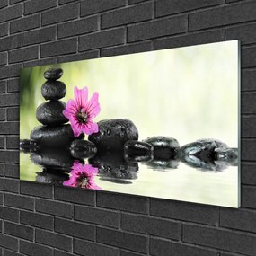 Obraz na skle Květ Kameny Umění 125x50 cm