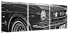Detailní obraz auta (90x30 cm)