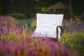 Ložnice21. Polštář Levandule Rozměr: 70x90 cm zip+vak (1200 g)