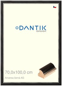 DANTIK rámeček 70x100 | ANIVERSA černá AG (Plexi Čiré)