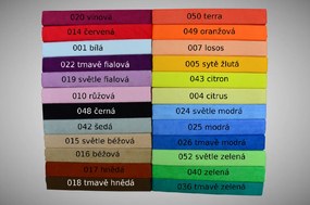 Brotex Froté prostěradlo citrus 80x200