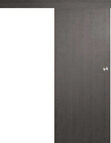 posuvné interiérové dveře na stěnu vasco doors REGO plné Průchozí rozměr: 70 x 197 cm, Orientace dveří: Levé dveře, Dekor: Grafit