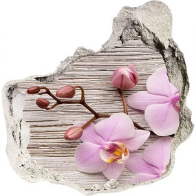 Wallmuralia Samolepící díra na stěnu Orchidej na stromě 75x75 cm