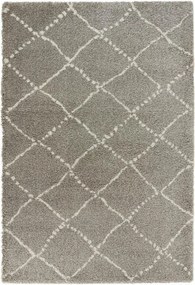 Kusový koberec Allure 102752 grau creme-160x230