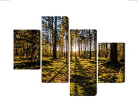 Vícedílný obraz Ranní Sluneční Paprsky V Lese Nedostatek Nedostatek Přírodní plátno 120x75