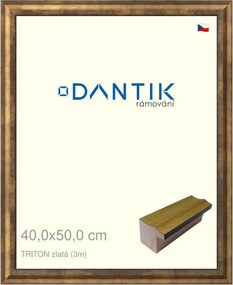 DANTIK rámeček 40x50 | TRITON zlatá (Plexi Čiré)