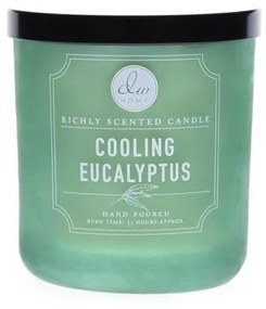 dw HOME Vonná svíčka ve skle - Chladivý eukalyptus 255 g, zelená barva, sklo