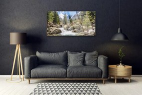 Obraz na skle Hora Les Kameny Řeka 140x70 cm
