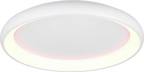 XXXLutz STROPNÍ LED SVÍTIDLO, 75/9,5 cm Trio Leuchten - Stropní svítidla - 004102113903