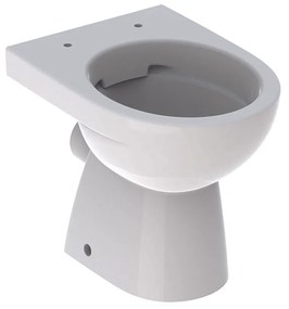 Geberit Selnova - Stojící WC, 490x352 mm, Rimfree, bílá 500.480.01.1