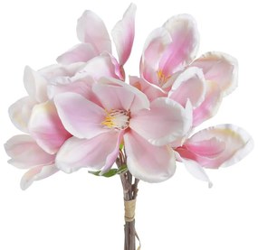 buket magnolií - růžová/bílá