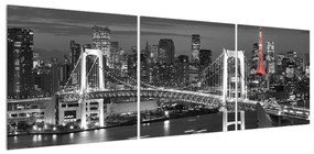 Obraz Brooklynského mostu (150x50 cm)