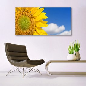 akrylový obraz Slunečnice Mraky 120x60 cm