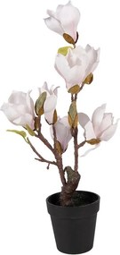 Dekorační stromek Magnolia s narůžovělými květy - 12*12*40 cm