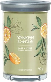 Yankee Candle vonná svíčka Tumbler ve skle velká Sage & Citrus 567g