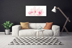 Obraz na plátně Květiny Plátky Rostlina Příroda 100x50 cm