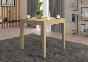 ADRK Furniture Konferenční stolek OLAF 1 80x80 CT-Ola-1-S-H068