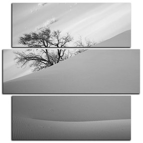 Obraz na plátně - Červené písečné duny - čtverec 3133QD (105x105 cm)