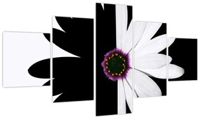 Obraz černobílého květu (125x70 cm)