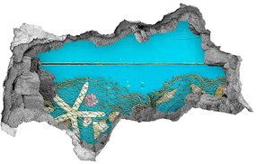 Wallmuralia Samolepící díra na stěnu Hvězdice a mušle 95x73 cm
