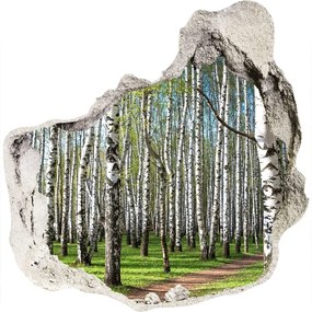 Wallmuralia Nálepka fototapeta 3D výhled Břízový les 75x75 cm
