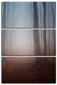Obraz na plátně - Mlha v lese - obdélník 7182B (120x80 cm)