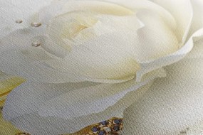 Obraz luxusní růže s abstrakcí