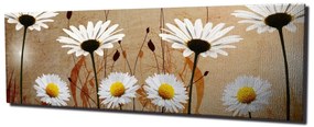 Obraz na plátně Daisies safari PC042 30x80 cm