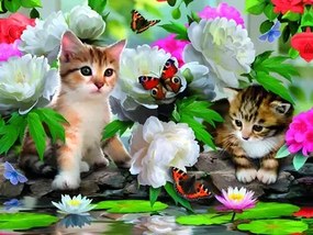 PRIME 3D Puzzle Mezi pivoňkami / 48 dílků / od 3 let