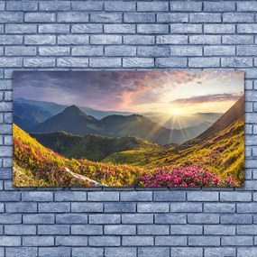 akrylový obraz Hora Louka Slunce Krajina 120x60 cm