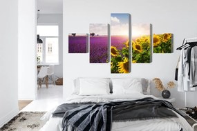 Vícedílný obraz Levandulová A Slunečnicová Pole 3D Nedostatek Nedostatek Plátno Canvas 250x150