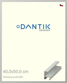 DANTIK rámeček 40x50 | ALU profil 6220 Stříbrná matná (Sklo Čiré)