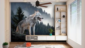 Malvis ® Tapeta Vlk v lese Vel. (šířka x výška): 216 x 140 cm