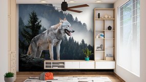 Malvis ® Tapeta Vlk v lese Vel. (šířka x výška): 504 x 310 cm