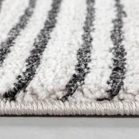 Vopi | Kusový koberec Taznaxt 5105 cream - 240 x 340 cm