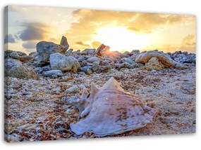 Obraz na plátně Mušle kameny moře - 60x40 cm