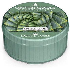 Country Candle Vonná Svíčka Spiral Aloe, 35 g