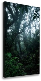 Wallmuralia Vertikální Foto obraz na plátně Deštný prales 50x100