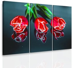Vícedílný obraz - Tři tulipány