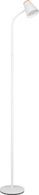 XXXLutz STOJACÍ LED LAMPA, 145/19,5/37 cm - Stojací lampy - 007694040401