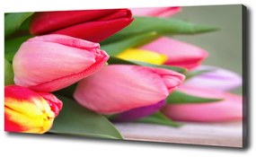 Wallmuralia Foto obraz na plátně Barevné tulipány 100x50