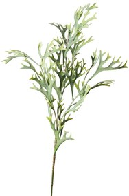 XXXLutz UMĚLÁ ROSTLINA kapradí 78 cm - Umělé rostliny - 0068600198