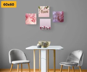 Set obrazů květiny v  jemném růžovém odstínu Varianta: 4x 60x60