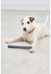 Aportovací hračka pro psy MiaCara Ramo šedá 26 x 2,5 x 2,5 cm