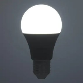 RETLUX RLL 602 A60 E27 bulb 7W / 950 lm / 6500K - denní bílá / D
